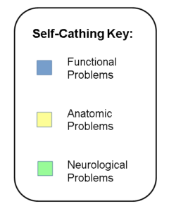 Self-Cathing - Experience Journals